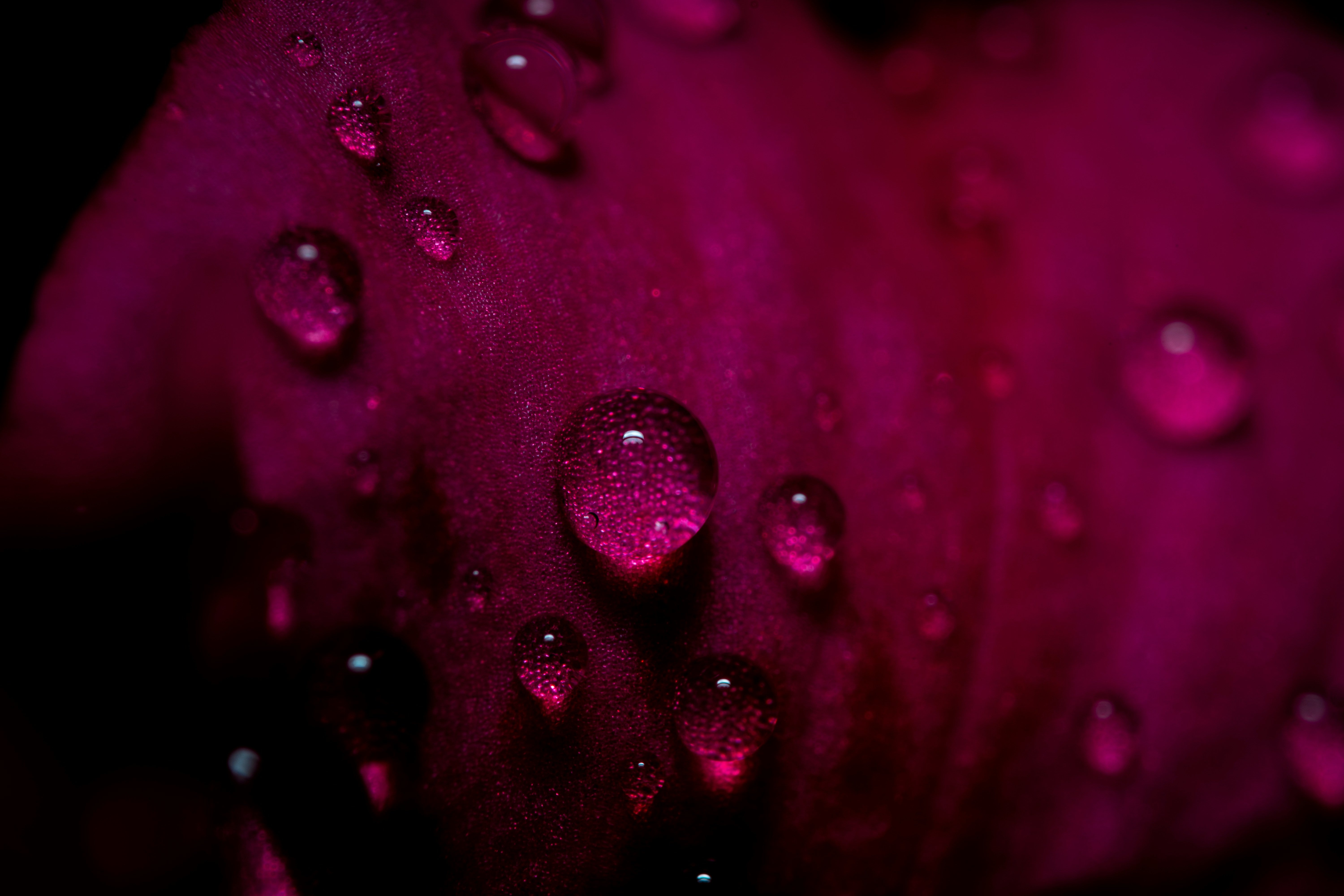 Fall Fragrance Trends 2025: Witchy Scents and Nocturnal Florals – C.O ...