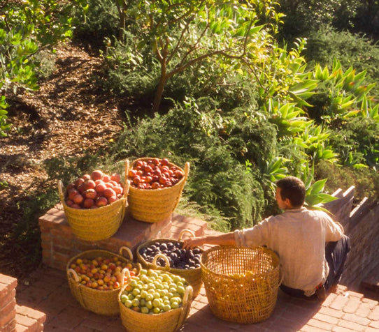 Flamingo Estate – C.O. Bigelow