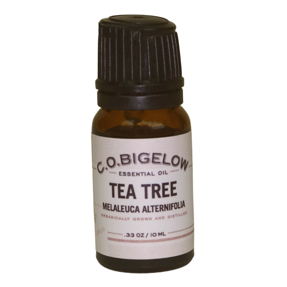 Essential Oil - Tea Tree - 10 ml – C.O. Bigelow