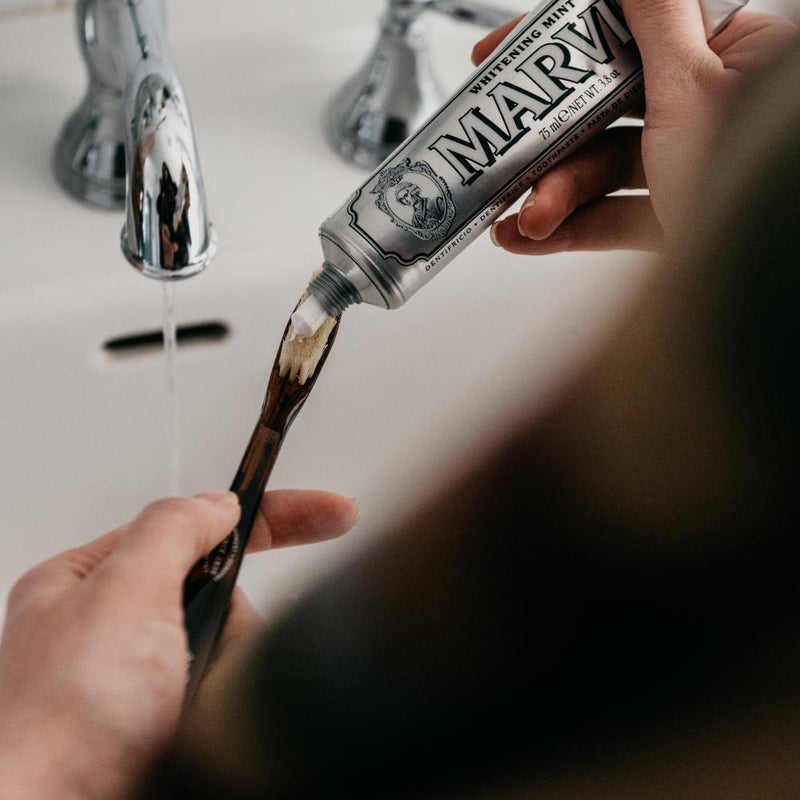 Natural Bristle Toothbrush - Medium Tortoise – C.O. Bigelow