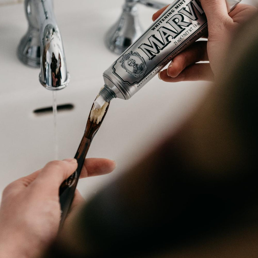 Natural Bristle Toothbrush - Medium Tortoise – C.O. Bigelow