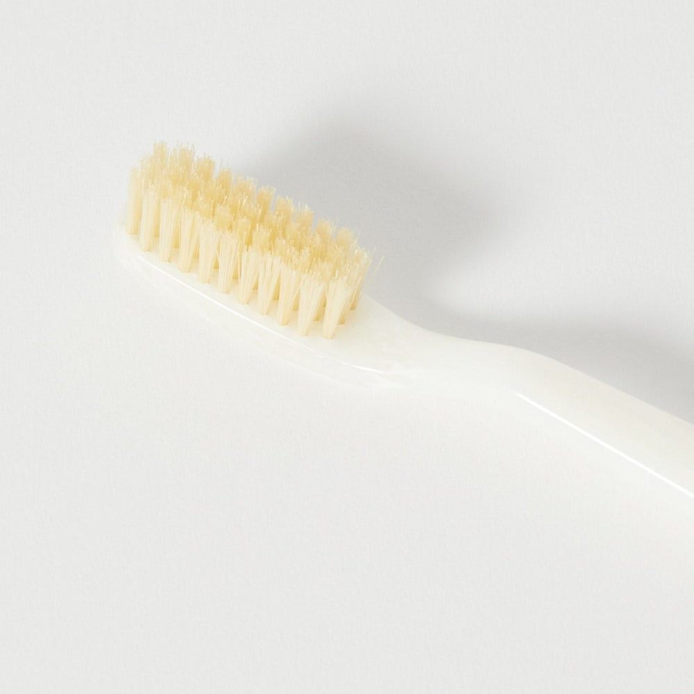 Natural Bristle Toothbrush - Medium Ivory – C.O. Bigelow