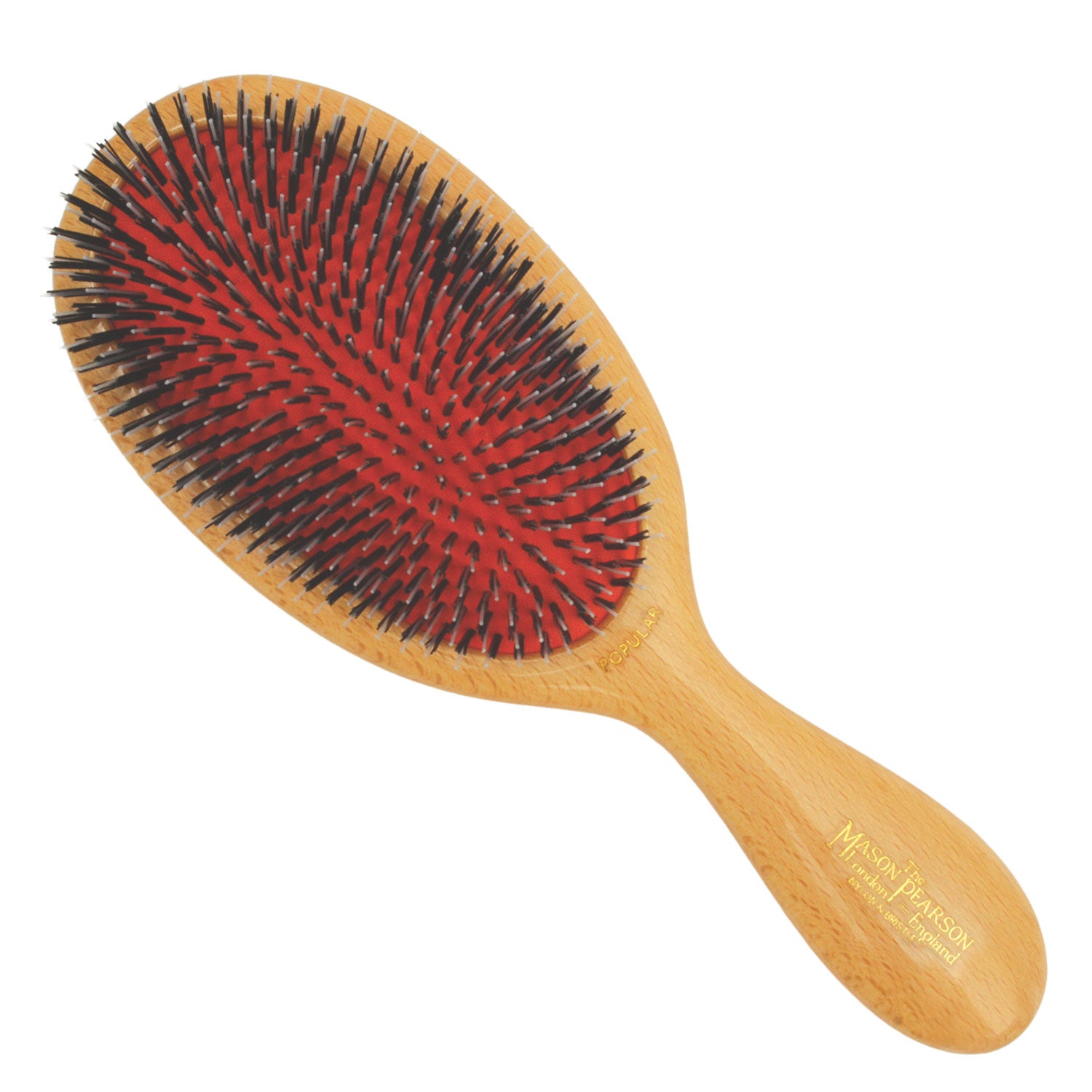 Popular Boar Bristle & Nylon Hairbrush - Wood – C.O. Bigelow