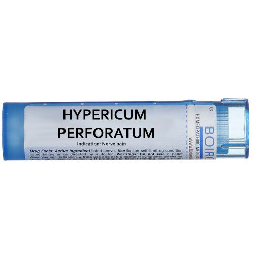 Hypericum perforatum - Multidose Tube – C.O. Bigelow
