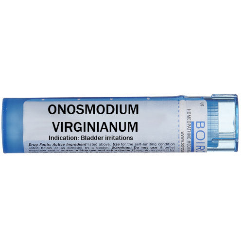 Onosmodium virginianum - Multidose Tube – C.O. Bigelow